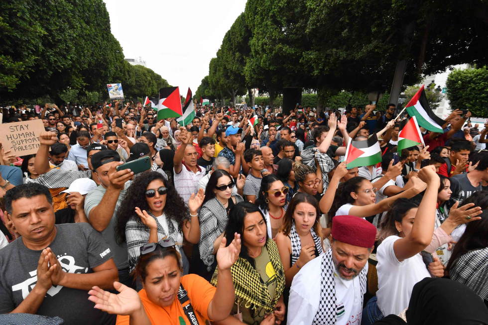 احتجاجات تونسية في يوم الغضب تضامنا مع الفلسطينيين في غزة صور